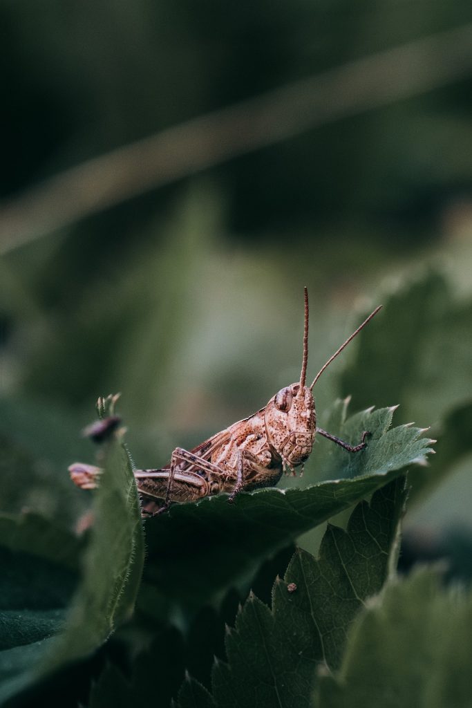 Understanding Pension Vesting: When Do You Actually Own It? - Sridhar ...